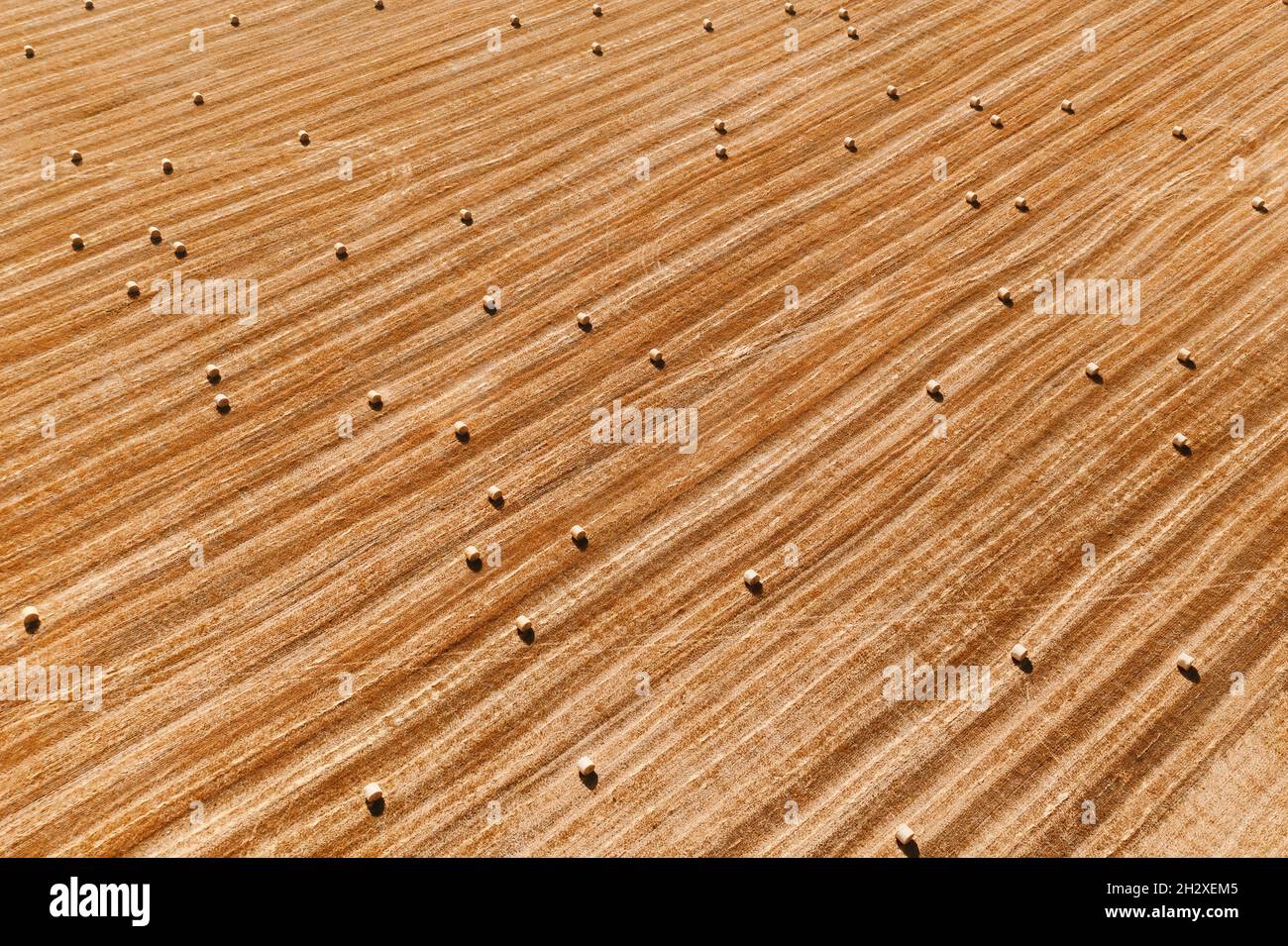 Bale hay farm farming pattern nature hi-res stock photography and ...