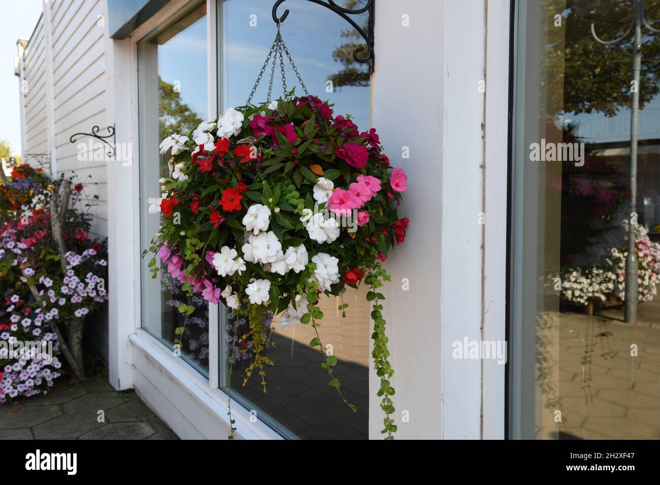 A beautiful bouquet of colorful flowers hanging by the house front door ...