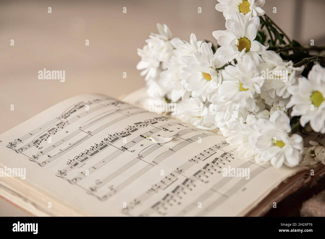 Close-up of musical notes and a bouquet of flowers Stock Photo - Alamy