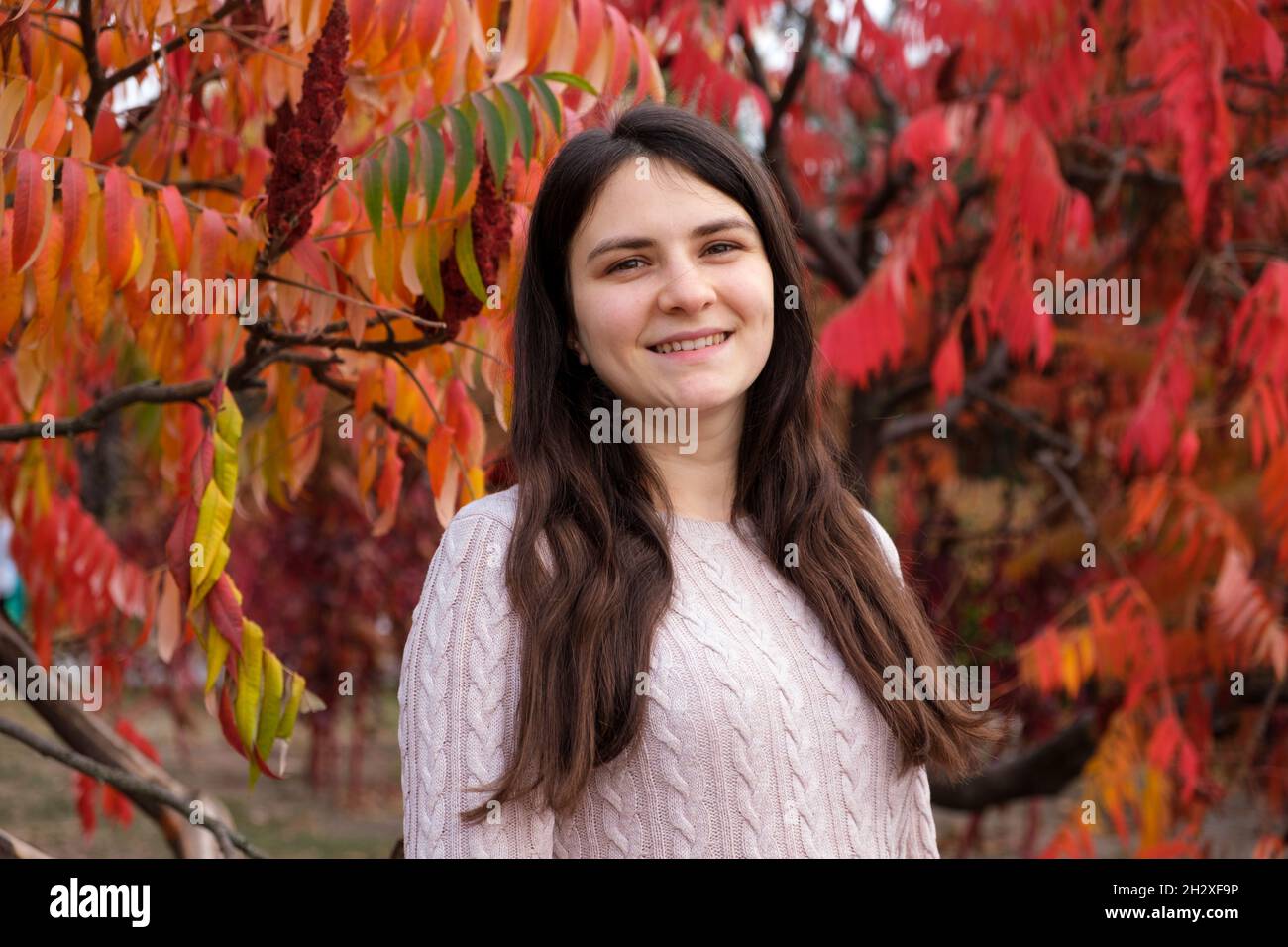 Beautiful 25-year-old brunette woman with long hair against the ...