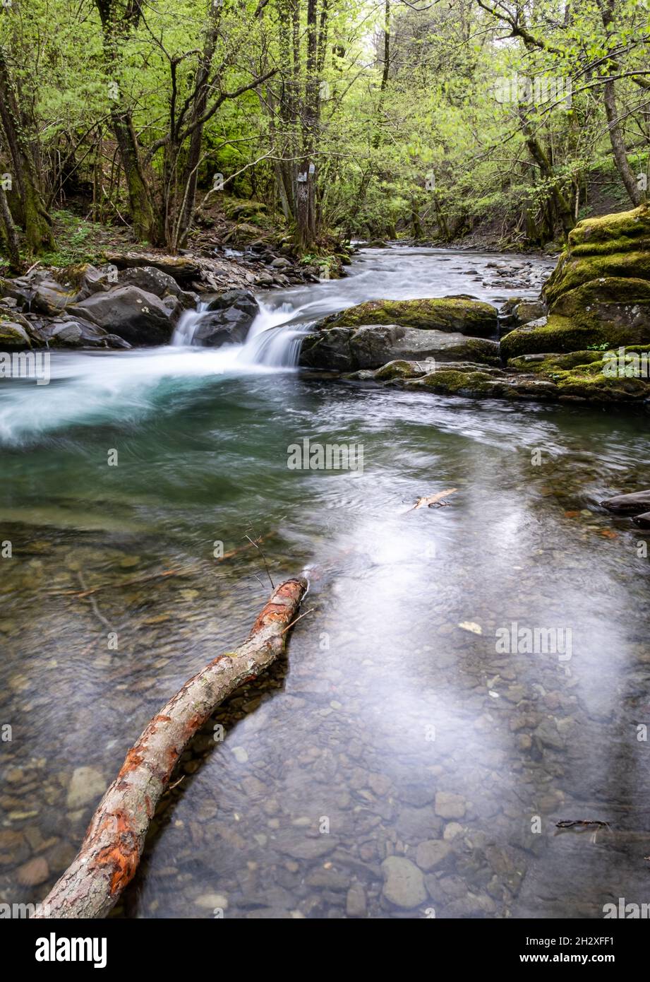 mountain stream with rocks and silky flow Stock Photo - Alamy