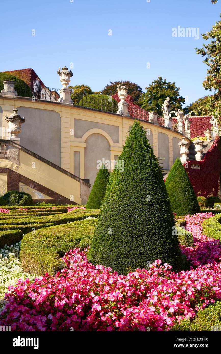 Pink flowers prague czech republic hi-res stock photography and images ...