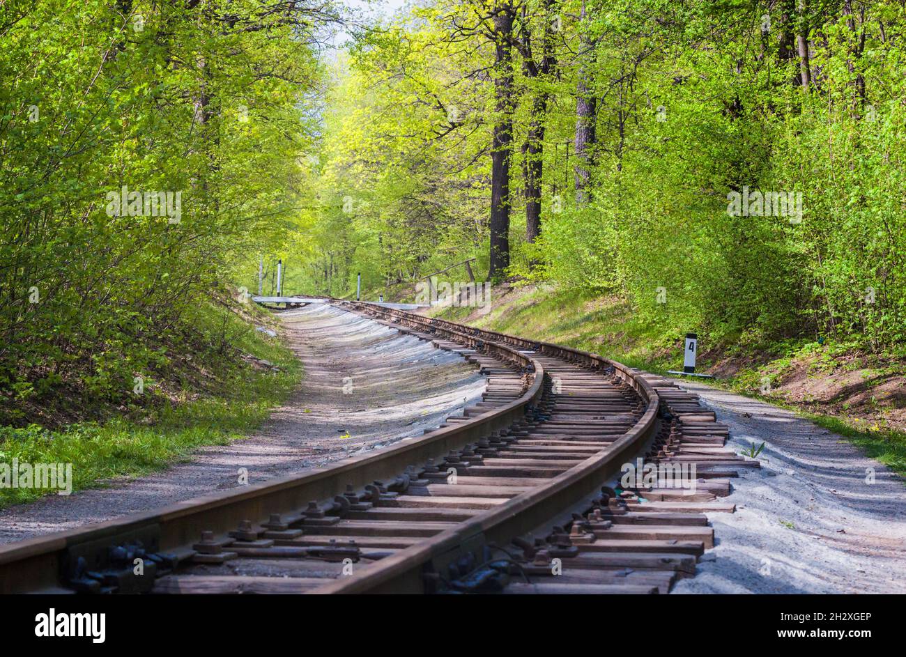 Railway tracks through woods hi-res stock photography and images - Alamy