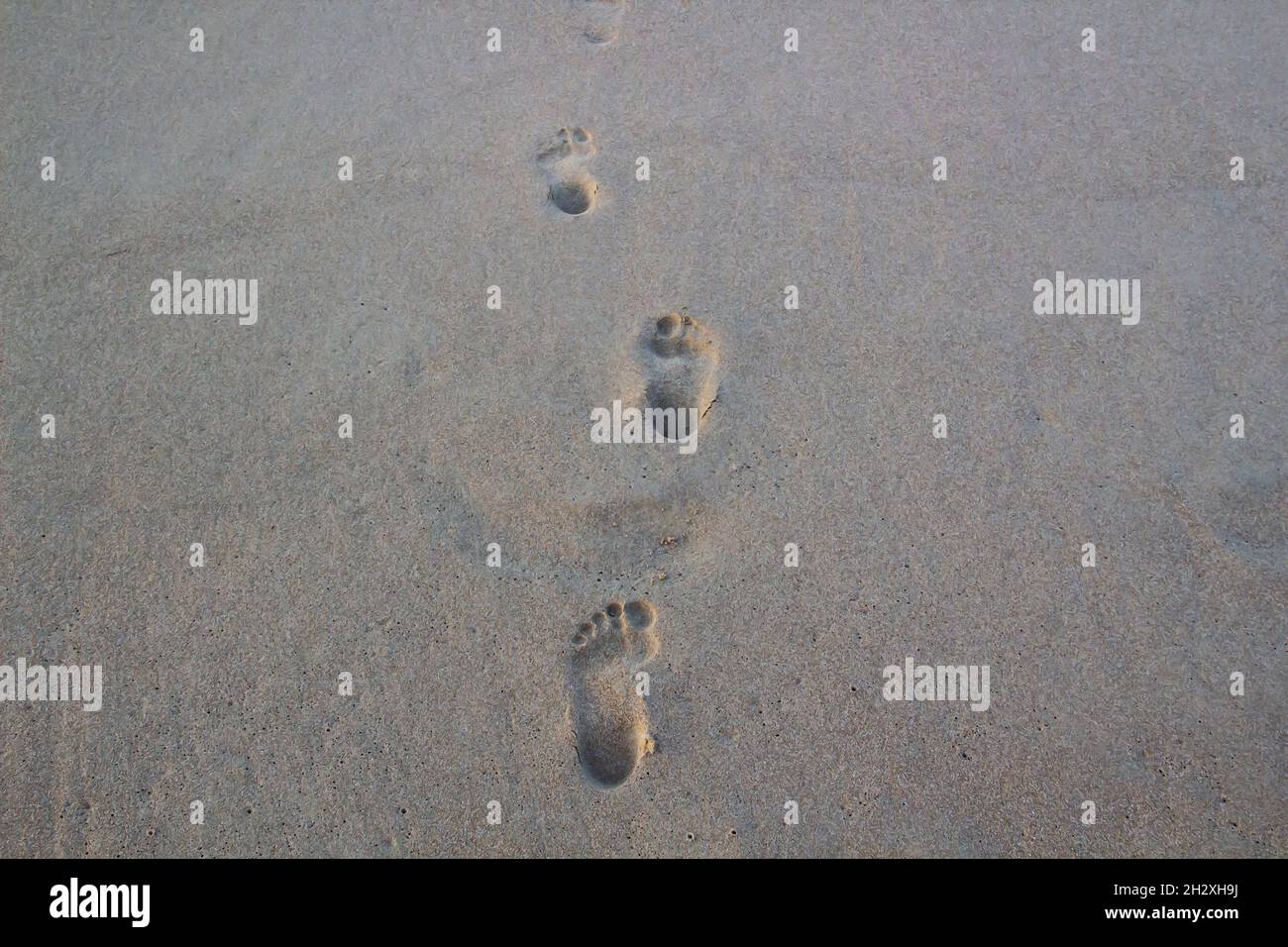 Footprints in the sand on the beach against background Stock Photo - Alamy