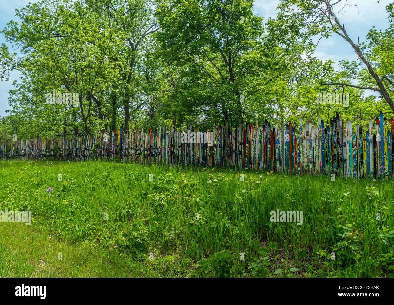 A collection of many used old snow skis turned into a fence outdoors ...