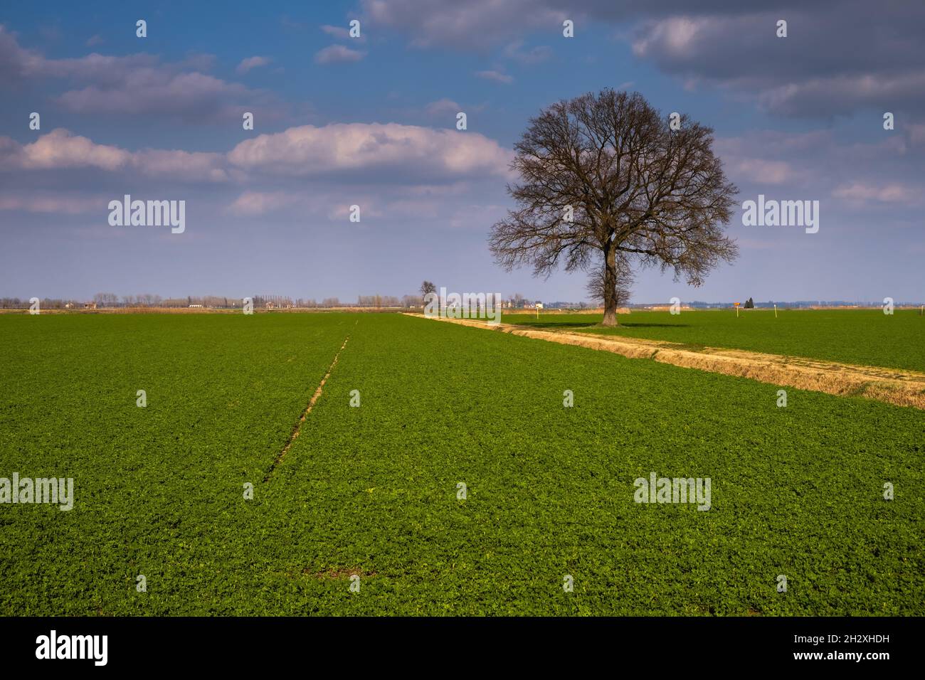 green isolated elements Stock Photo - Alamy