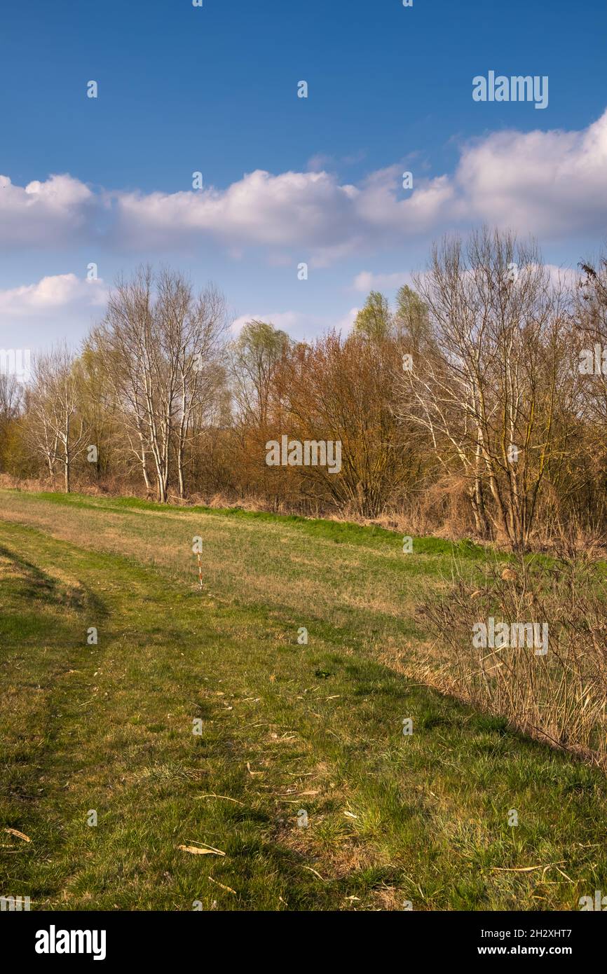 country landscape on the side of the road Stock Photo - Alamy