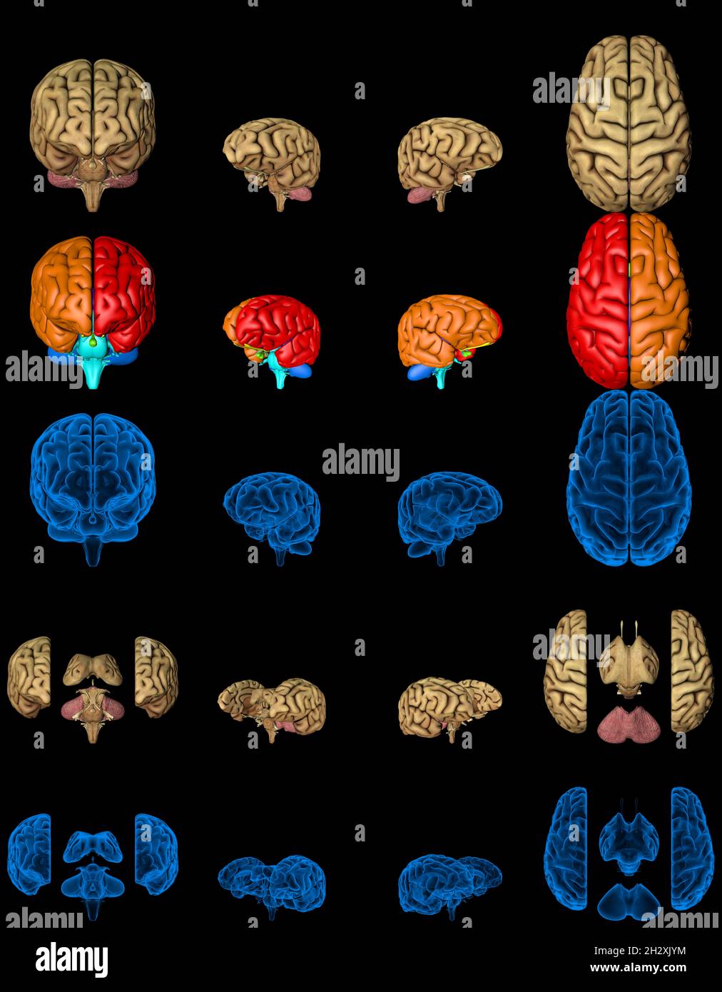 Study hi res hi-res stock photography and images - Alamy