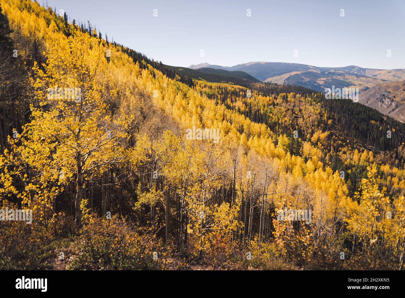 Landscape view of fall foliage in Vail, Colorado Stock Photo - Alamy
