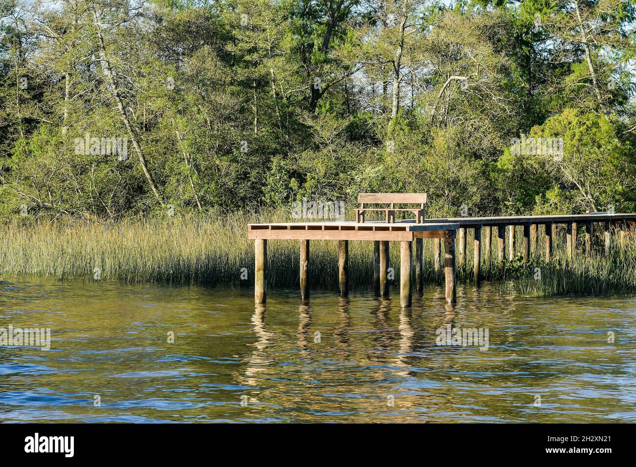 El tigre buenos aires argentina hi-res stock photography and images - Alamy