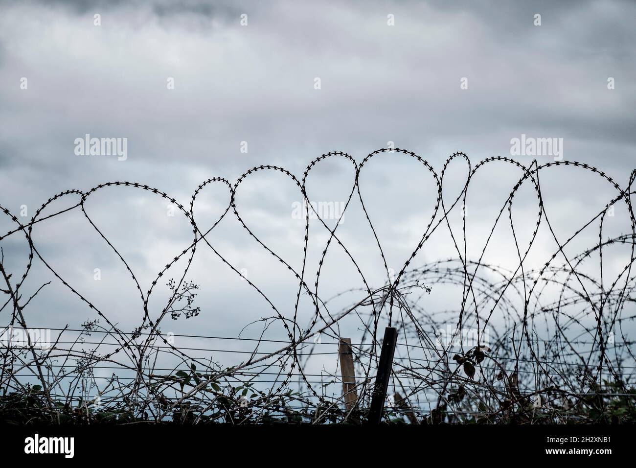 Razor-wire security fencing at industrial facility, United Kingdom ...
