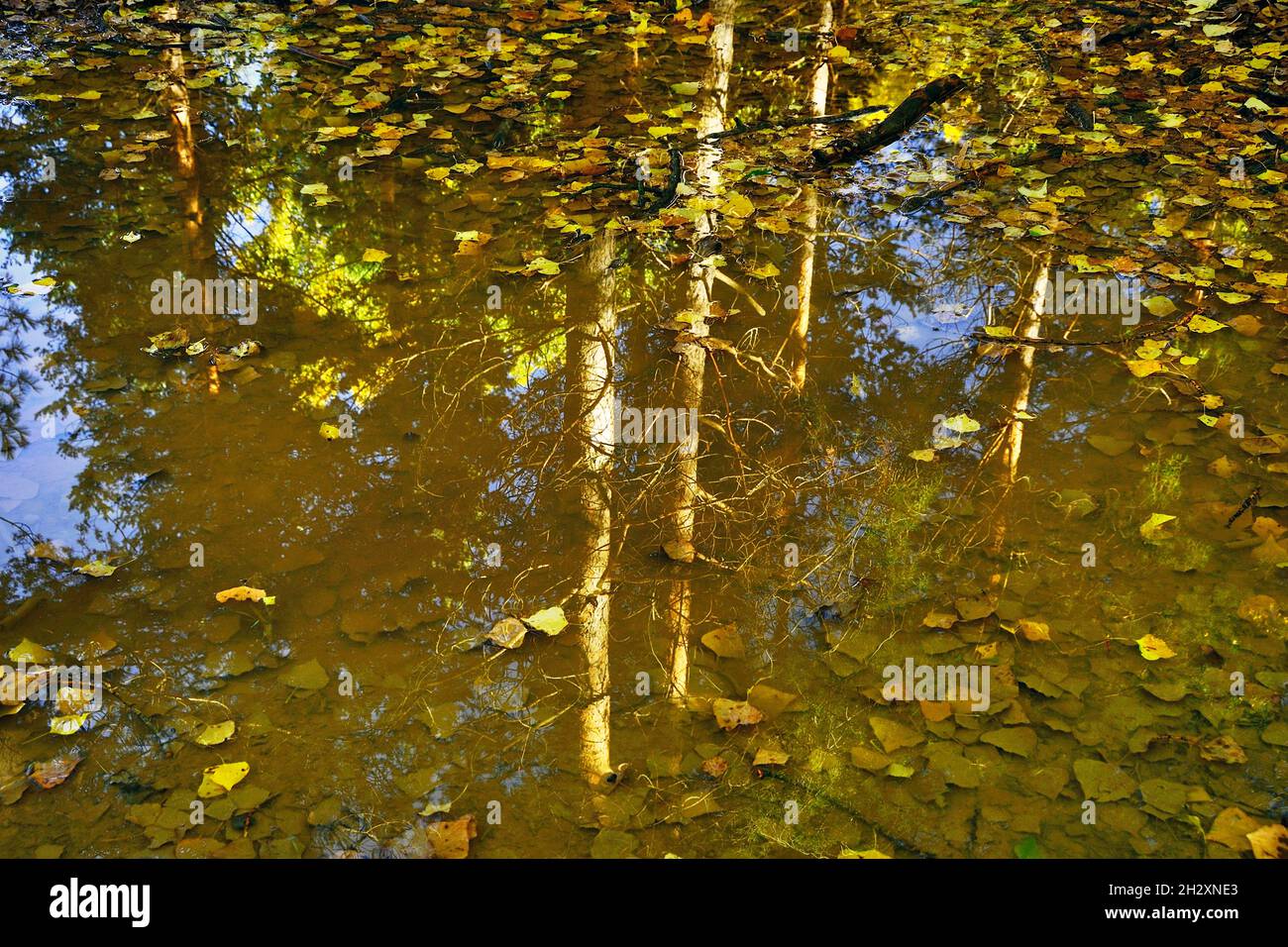 Water texture perspective hi-res stock photography and images - Alamy
