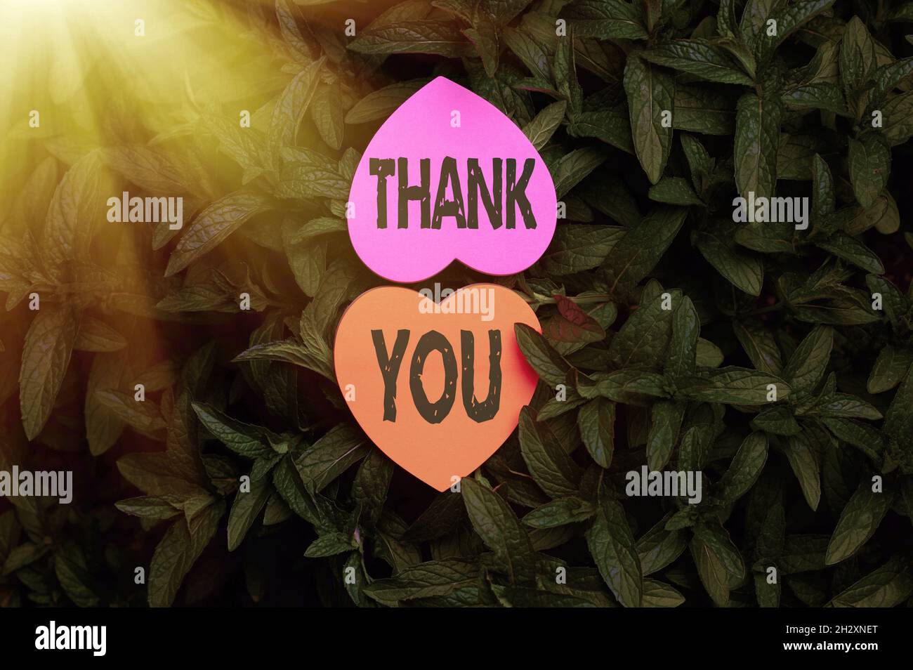 Inspiration showing sign Thank You. Word for a polite expression used ...