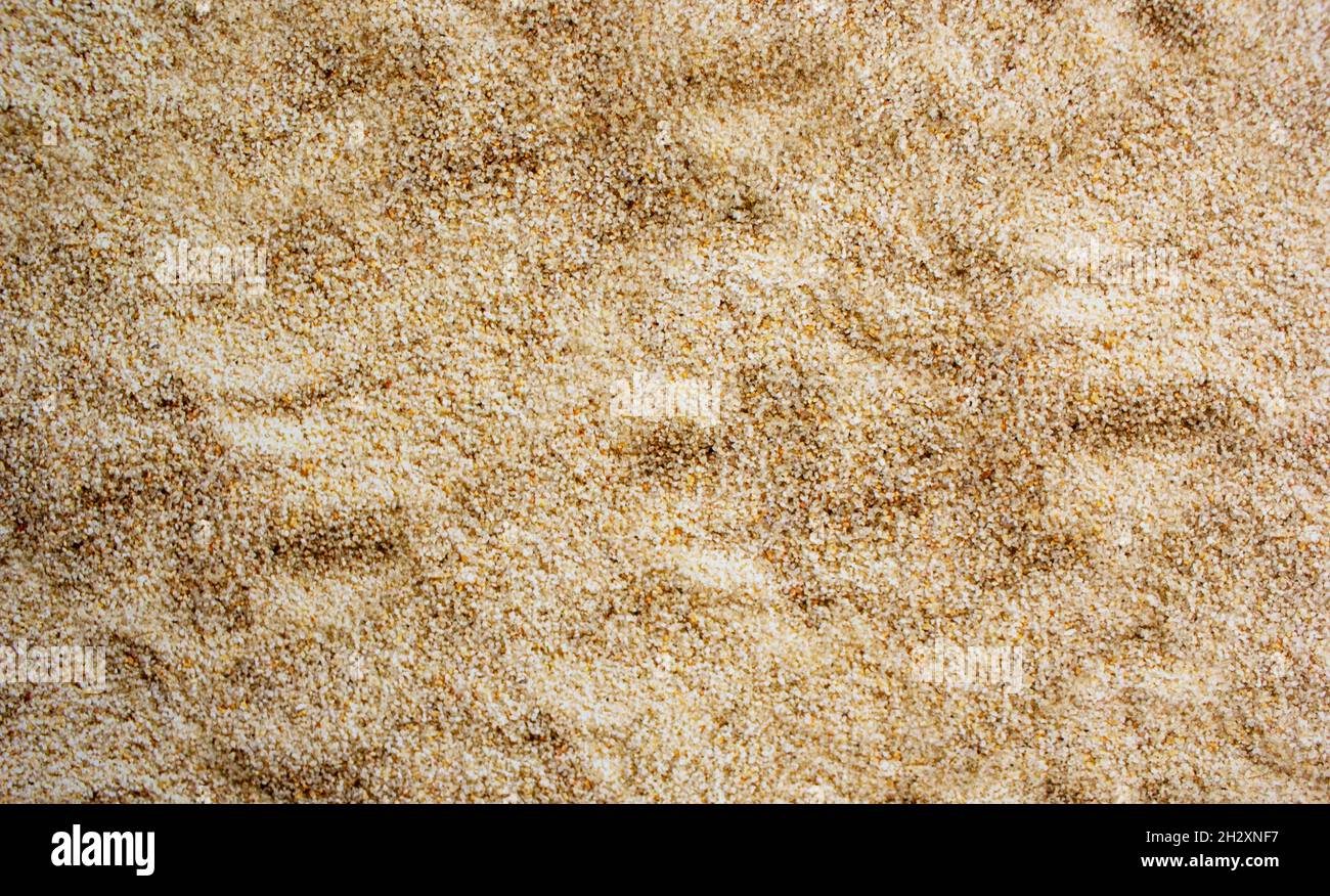 Light beige sand texture on a sunny day Stock Photo - Alamy