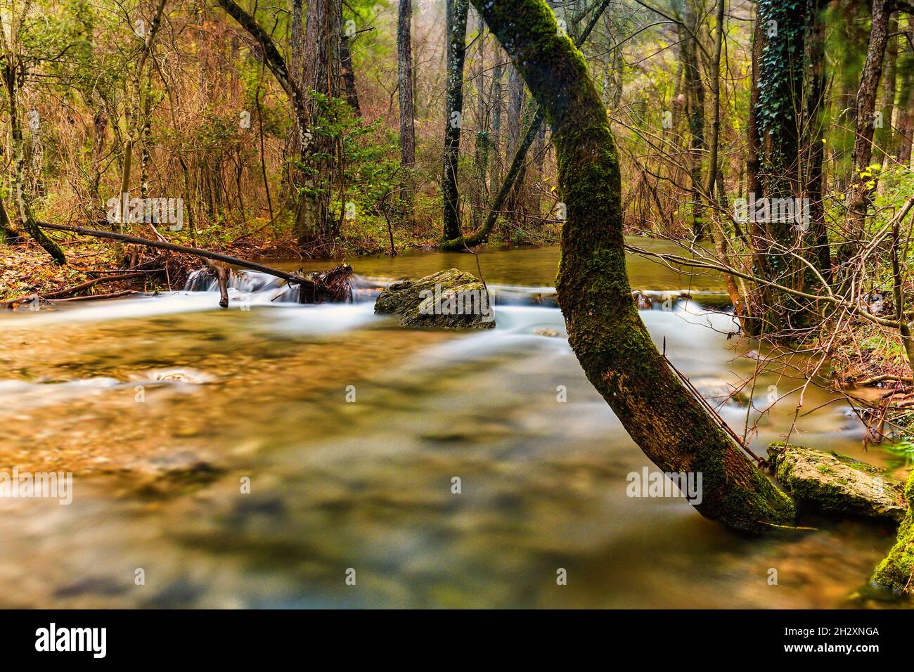 Water course between trees and rocks Stock Photo - Alamy