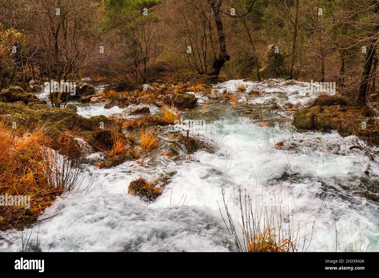Water course between trees and rocks Stock Photo - Alamy