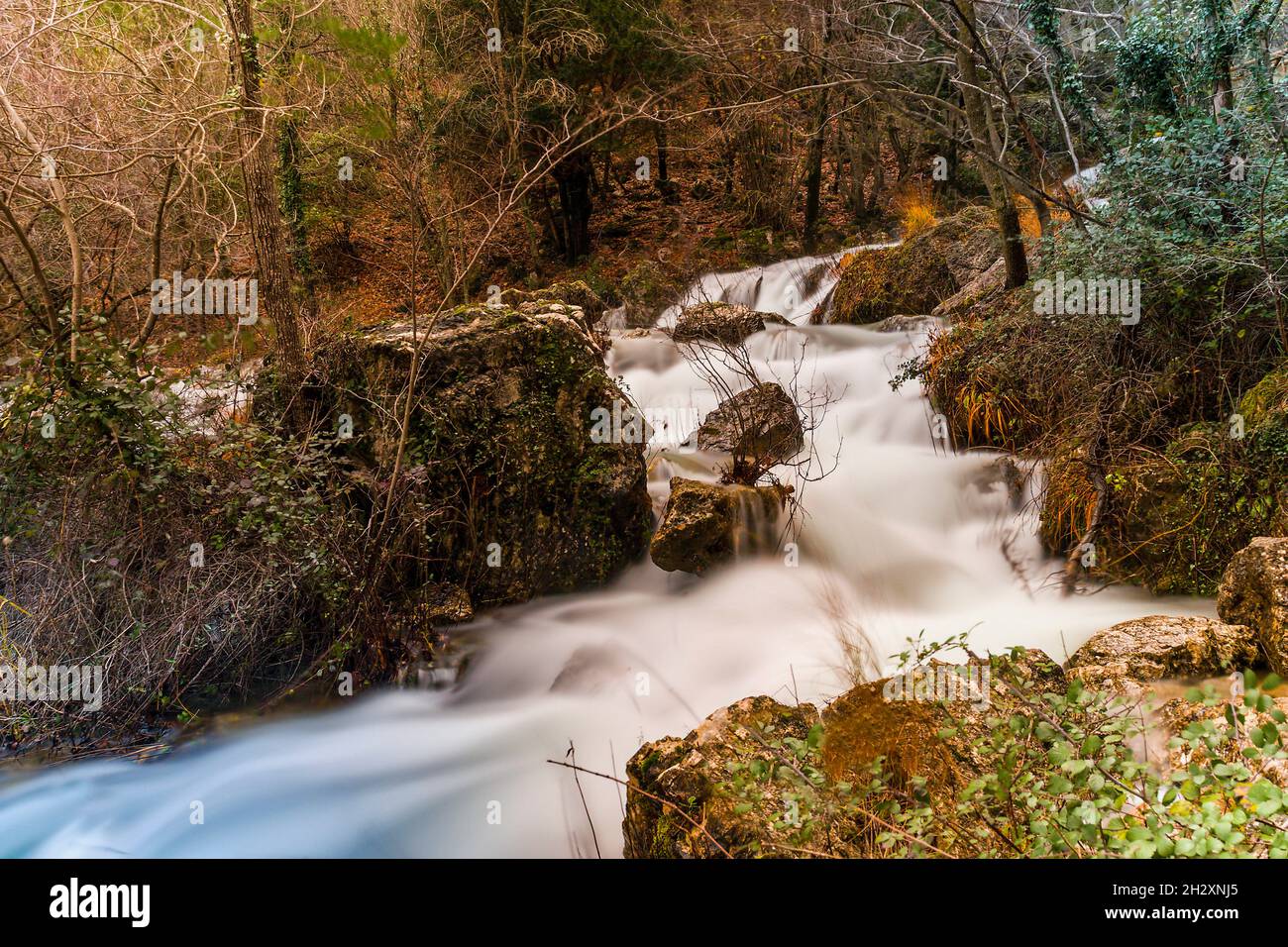 Water course between trees and rocks Stock Photo - Alamy
