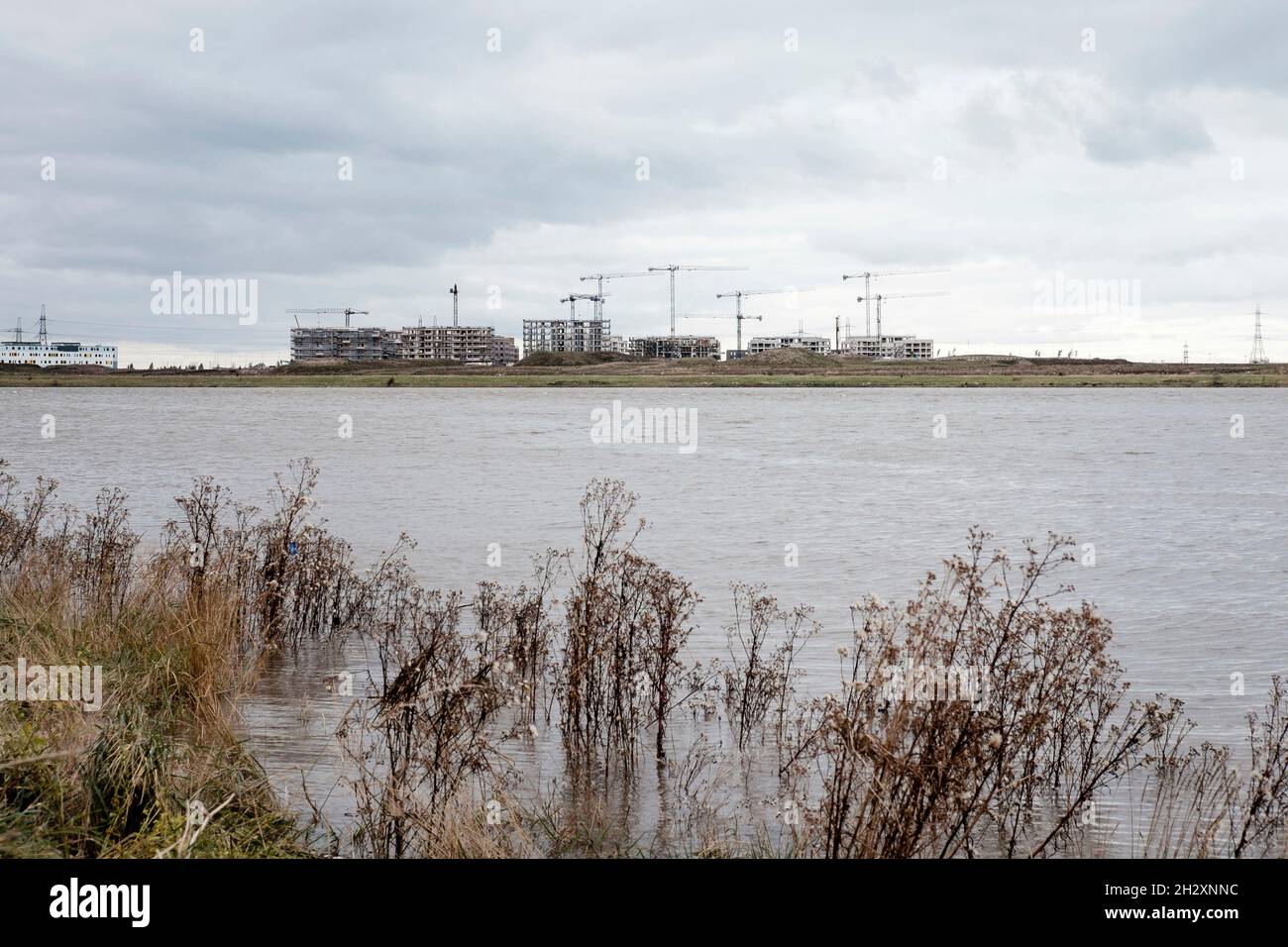 Barking Riverside development viewed from River Thames Stock Photo - Alamy