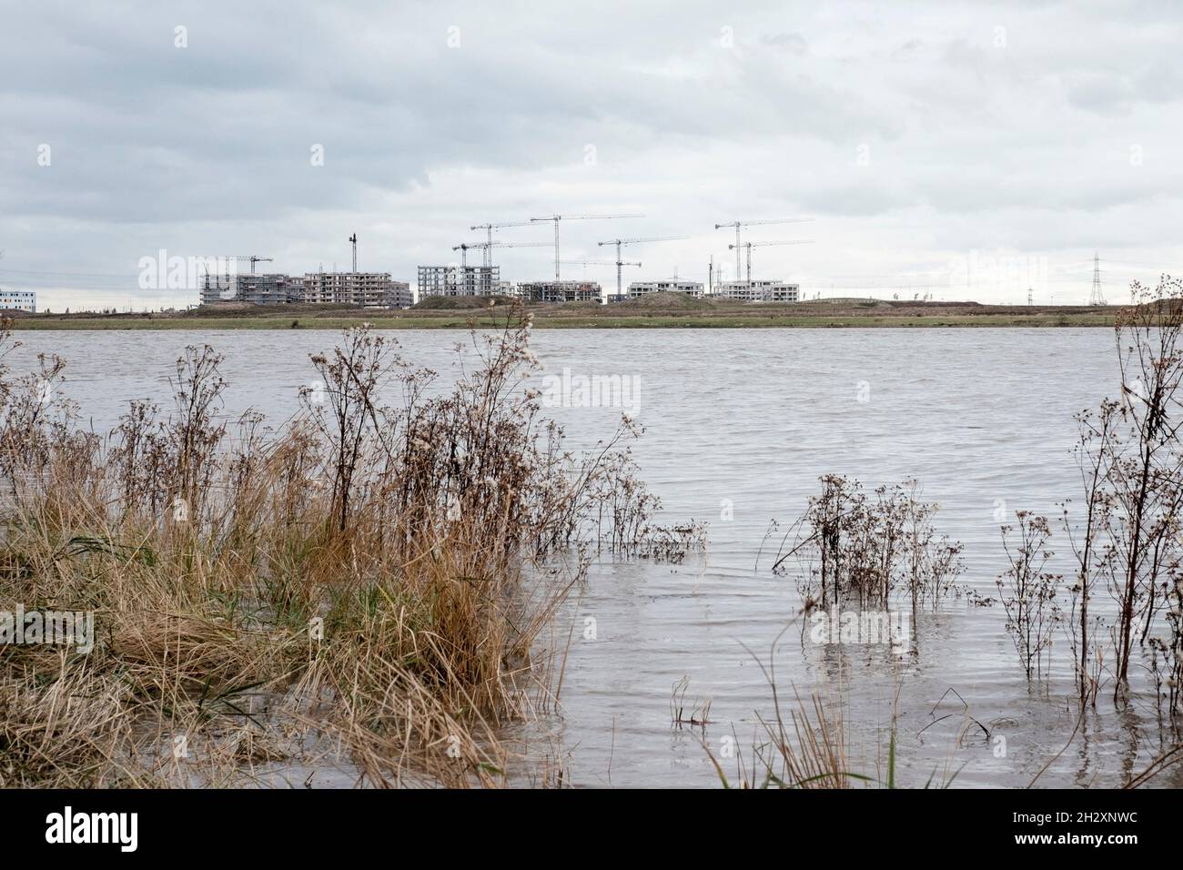Barking Riverside development viewed from River Thames Stock Photo - Alamy