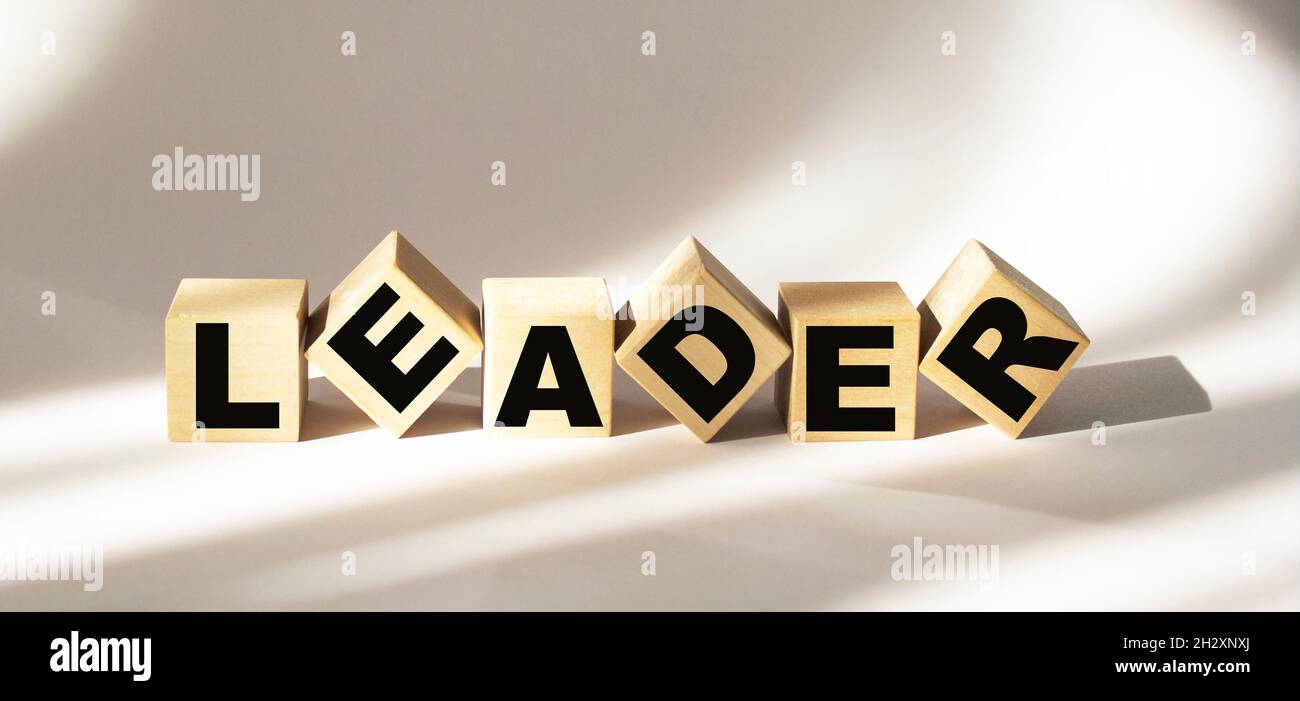LEADER word made with building blocks isolated on white Stock Photo - Alamy