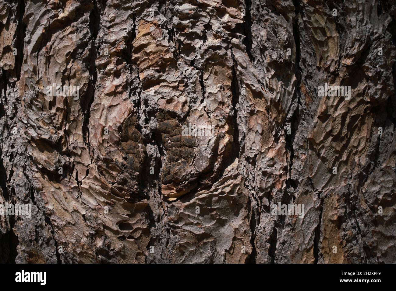 High quality timber hi-res stock photography and images - Alamy