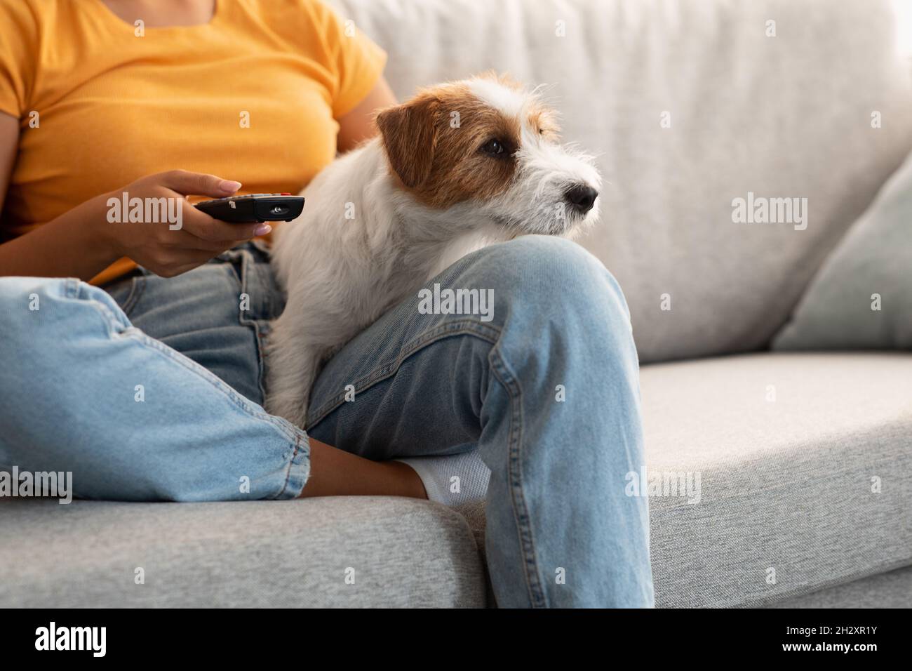 Female tv dog hi-res stock photography and images - Alamy