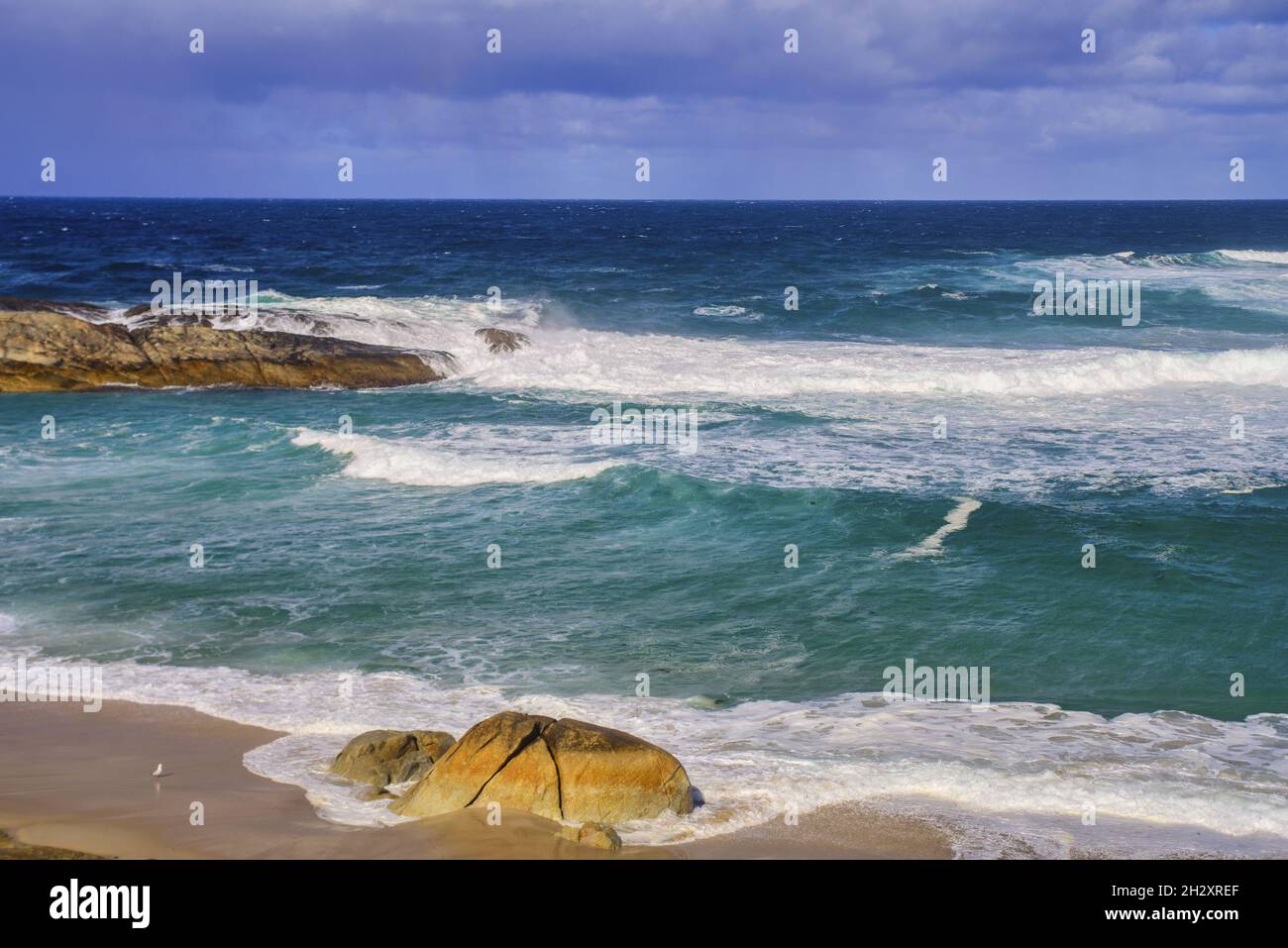 The beautiful Muttonbird Beach near Albany, South-Western Australia ...