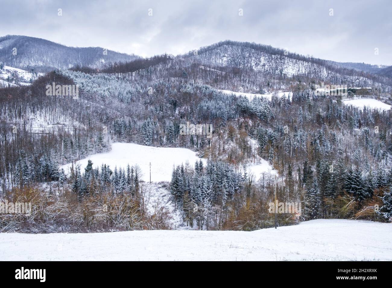 buildings and woods with snow Stock Photo - Alamy