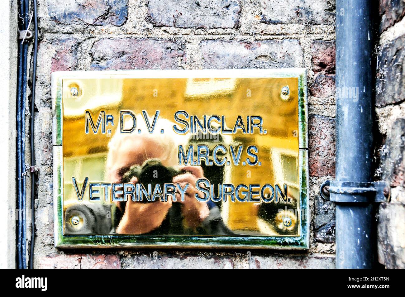 Brian Sinclair Veterinary Surgeon
