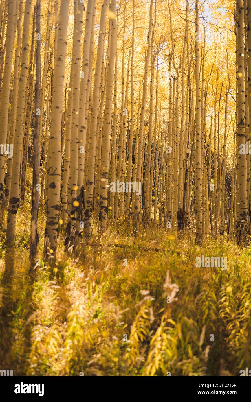 Beautiful hill during fall hi-res stock photography and images - Alamy