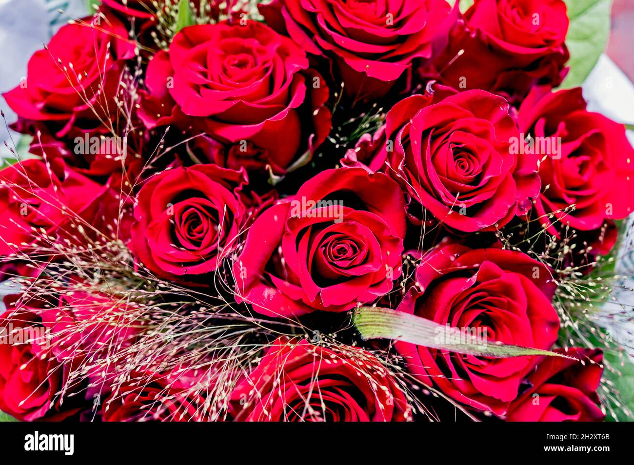 Bouquet of red roses; Strauß roter Rosen Stock Photo - Alamy
