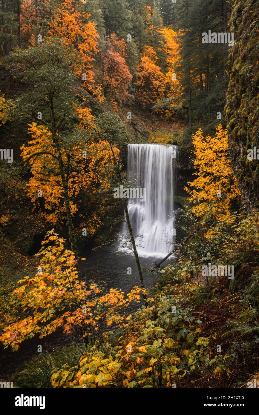 Beautiful waterfall in autumn forest surrounded by brilliantly colorful ...