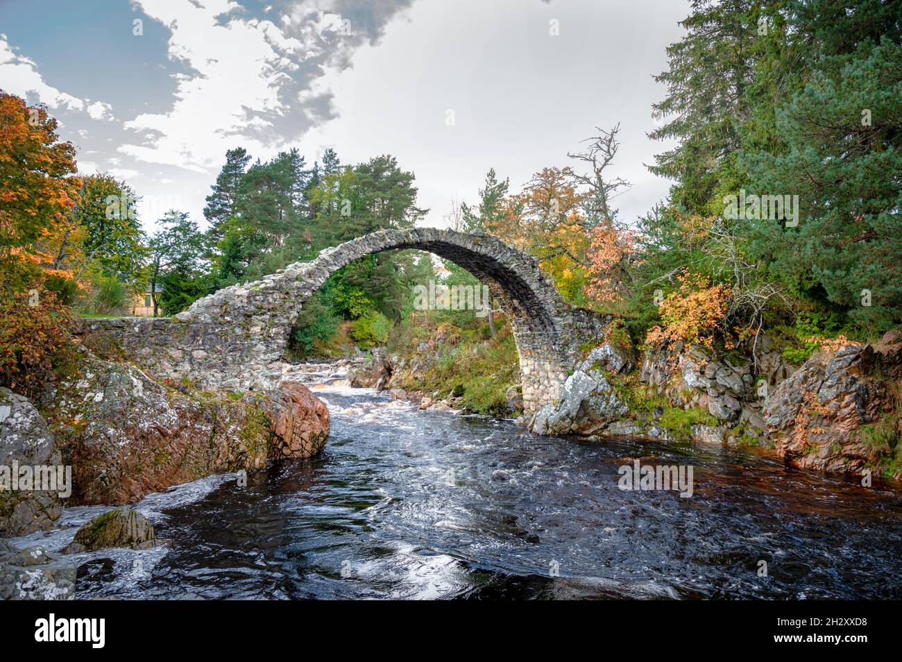 The old ruins of the pack horse bridge in Carrbridge Scotland Stock ...