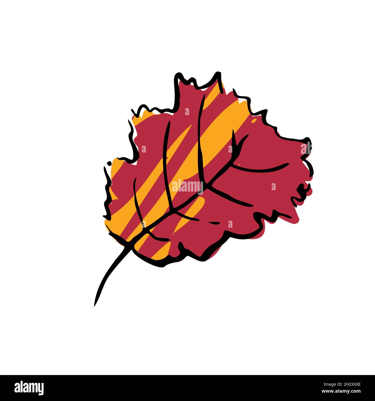Summer sketch Red leaf. Hand-drawn line textured color herb on white ...