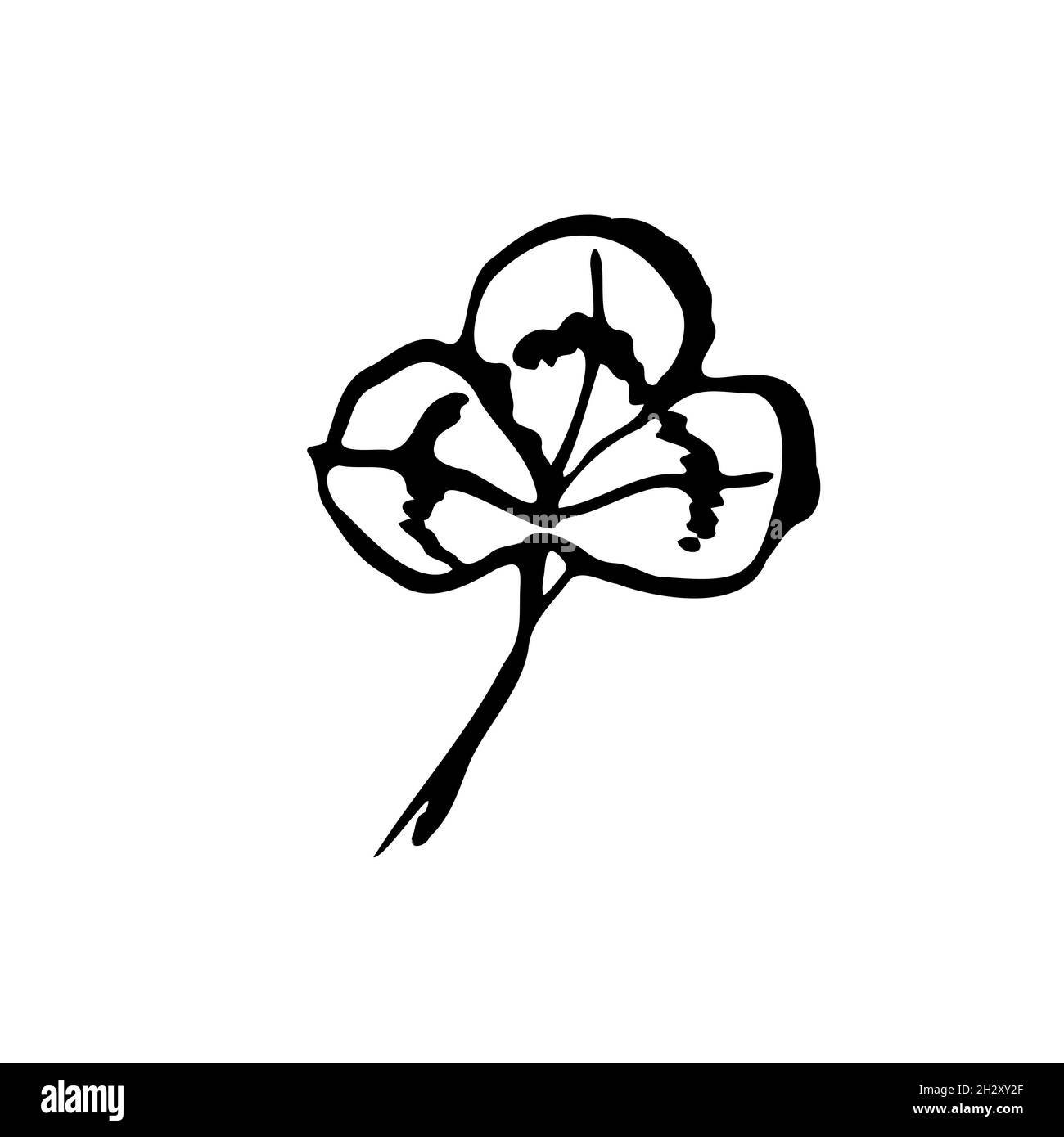 Summer sketch outline clover leaf. Hand-drawn line texture herb on ...
