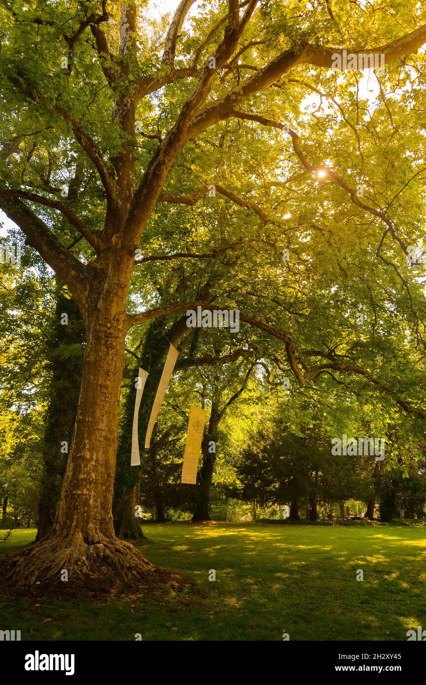 Cloux hi-res stock photography and images - Alamy