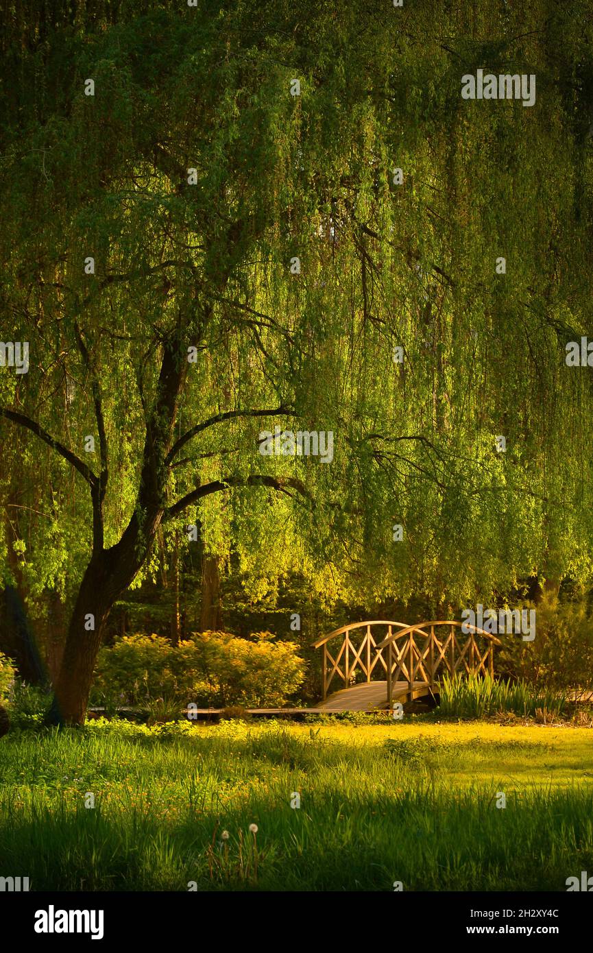 FRANCE. INDRE-ET-LOIRE (37) THE CLOS LUCA© CASTLE, FORMERLY KNOWN AS ...