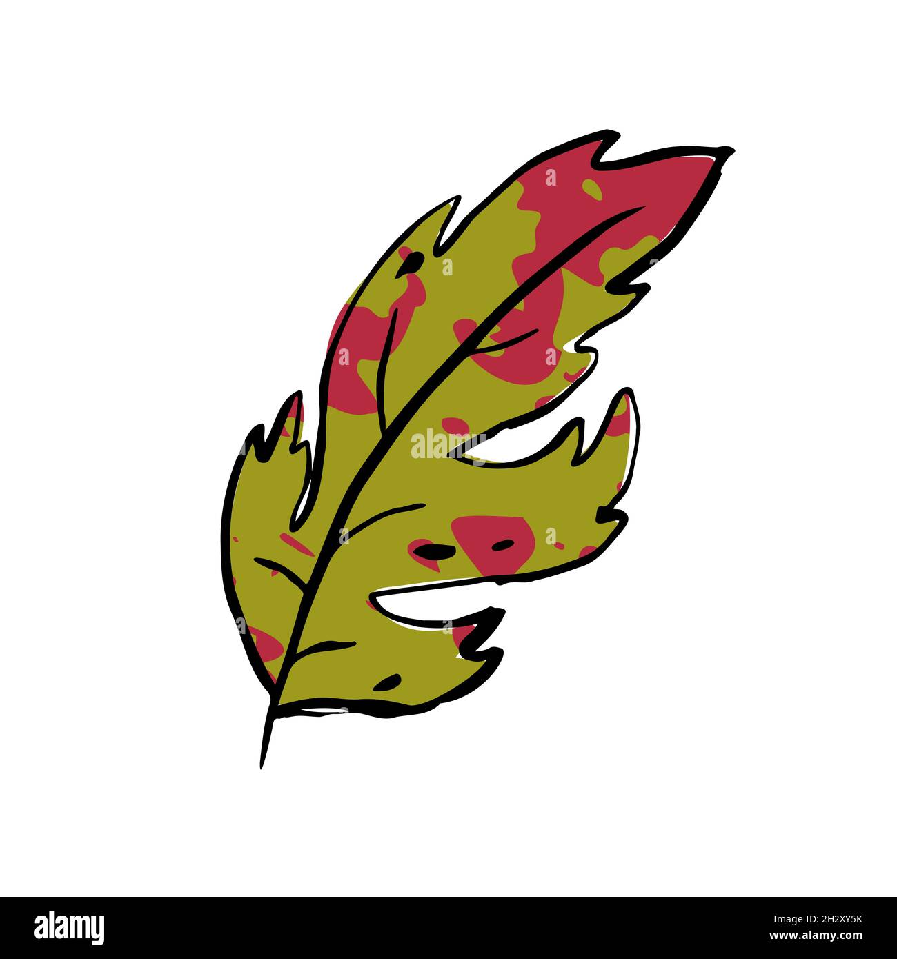 Autumn sketch green leaf. Hand-drawn color textured stains herb on ...