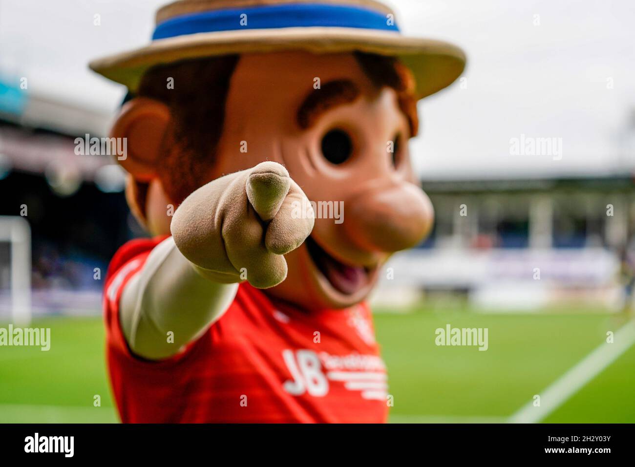 Hull city mascot hi-res stock photography and images - Alamy