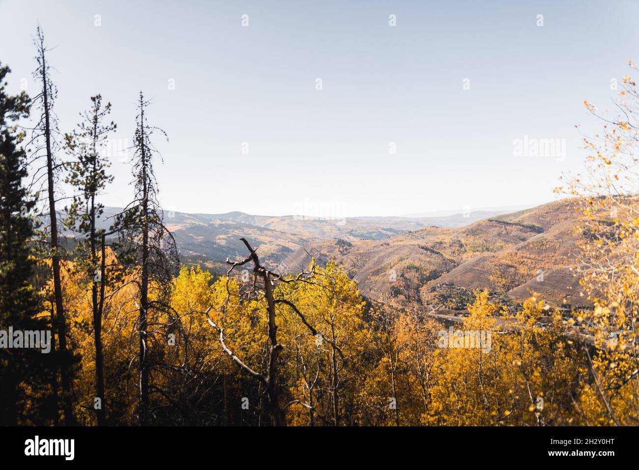 Landscape view of fall foliage in Vail, Colorado Stock Photo - Alamy