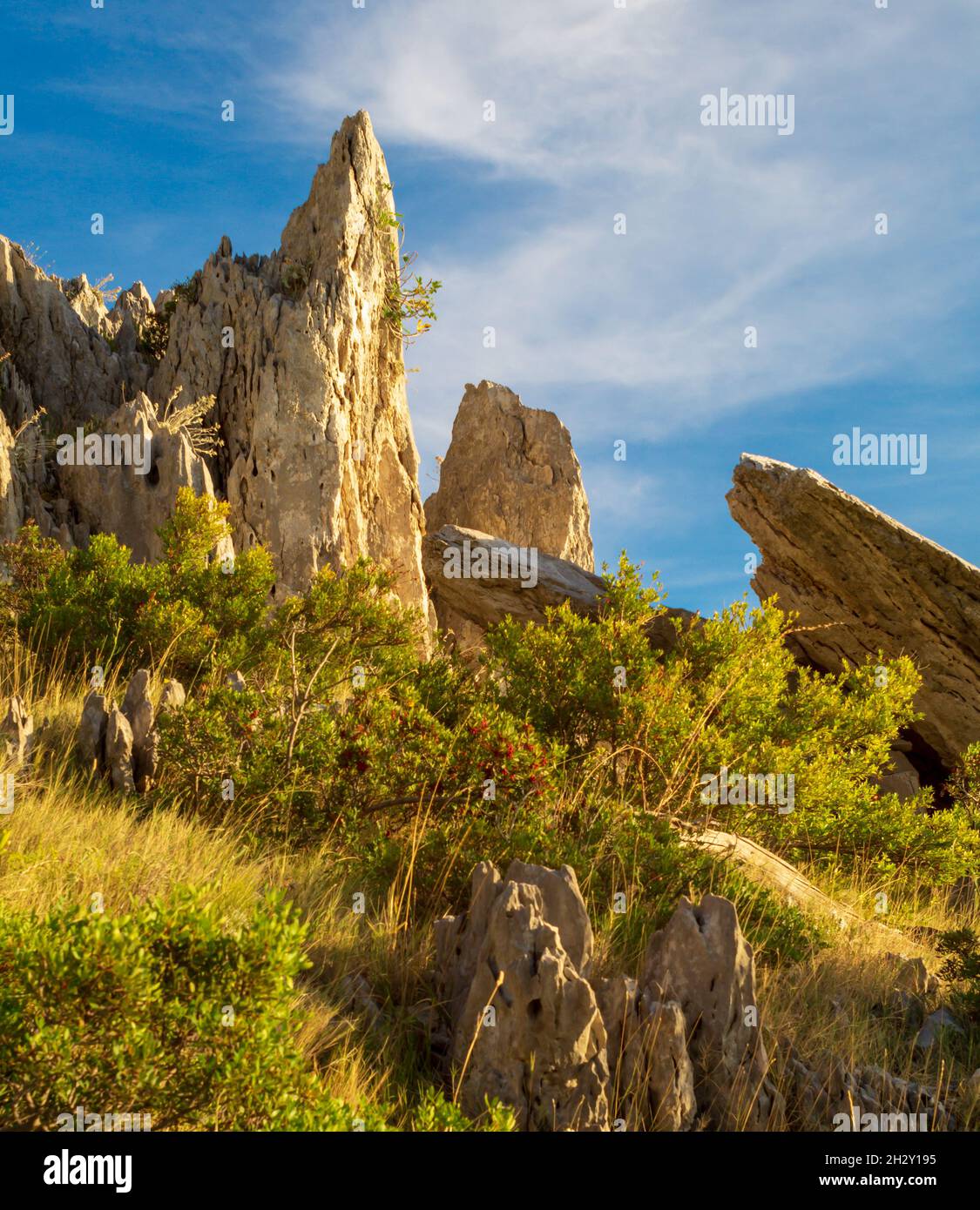 Cliffs in sunset time with trees Stock Photo - Alamy