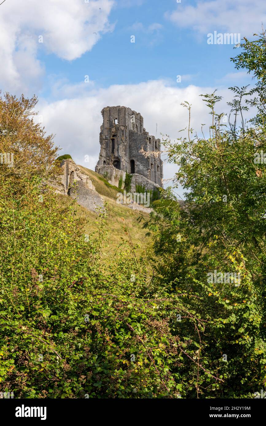 corfe castle on the isle of purbeck in dorset uk. medieval corfe castle ...