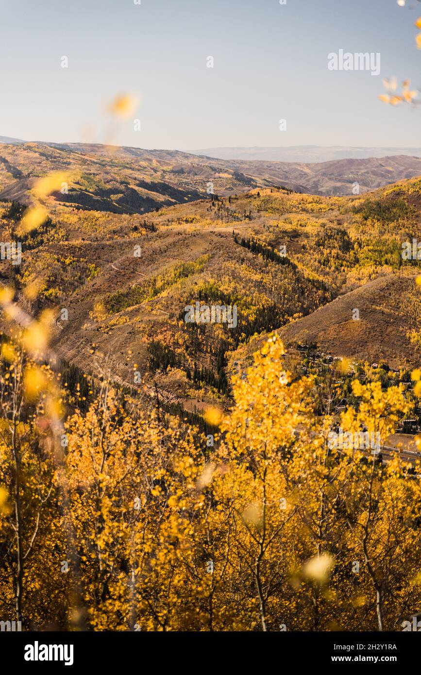 Landscape view of fall foliage in Vail, Colorado Stock Photo - Alamy