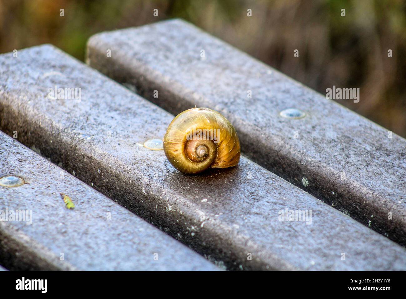 Rebel trail hi-res stock photography and images - Alamy
