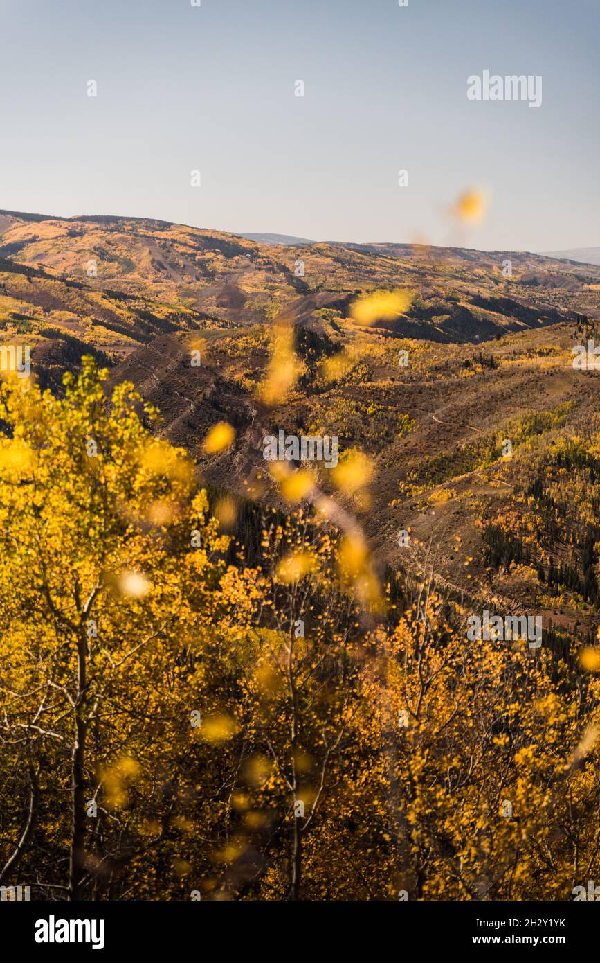 Landscape view of fall foliage in Vail, Colorado Stock Photo - Alamy
