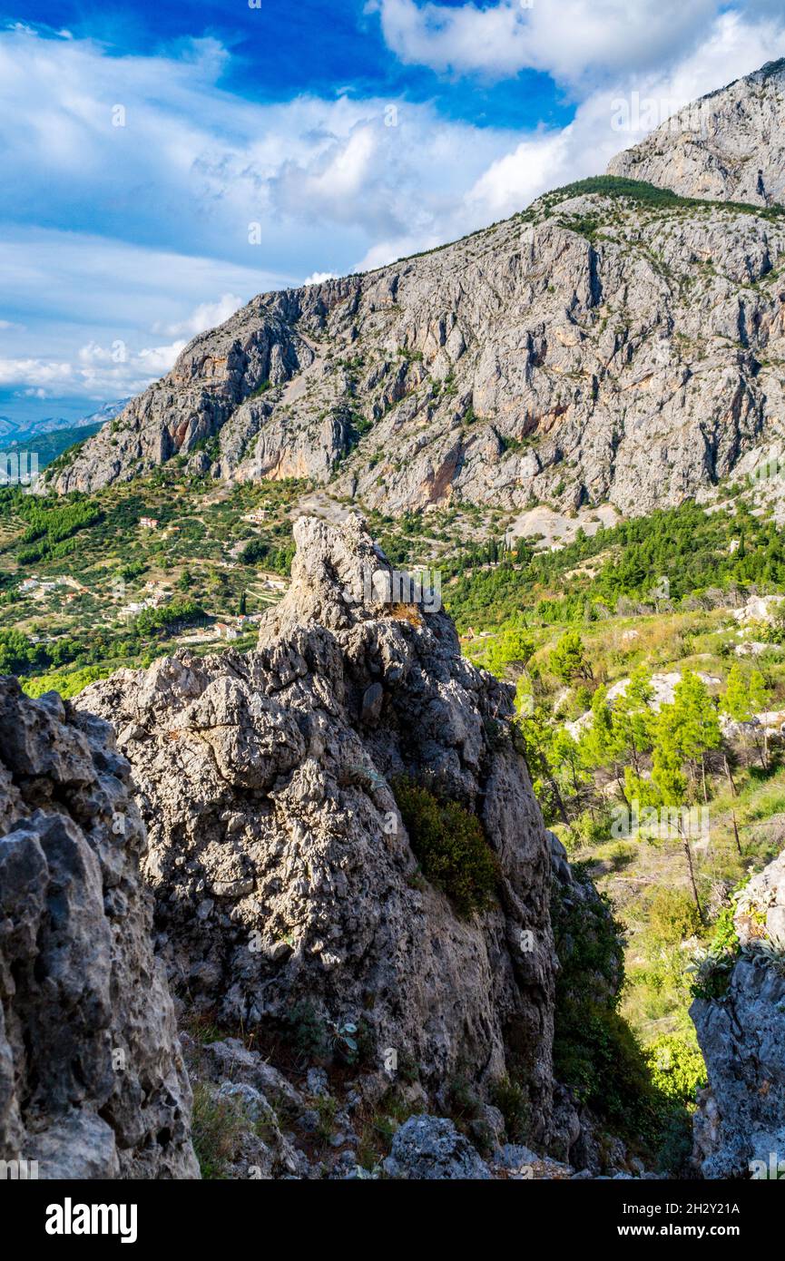 Scenery of mountain forest in bright green colors in spring hi-res ...
