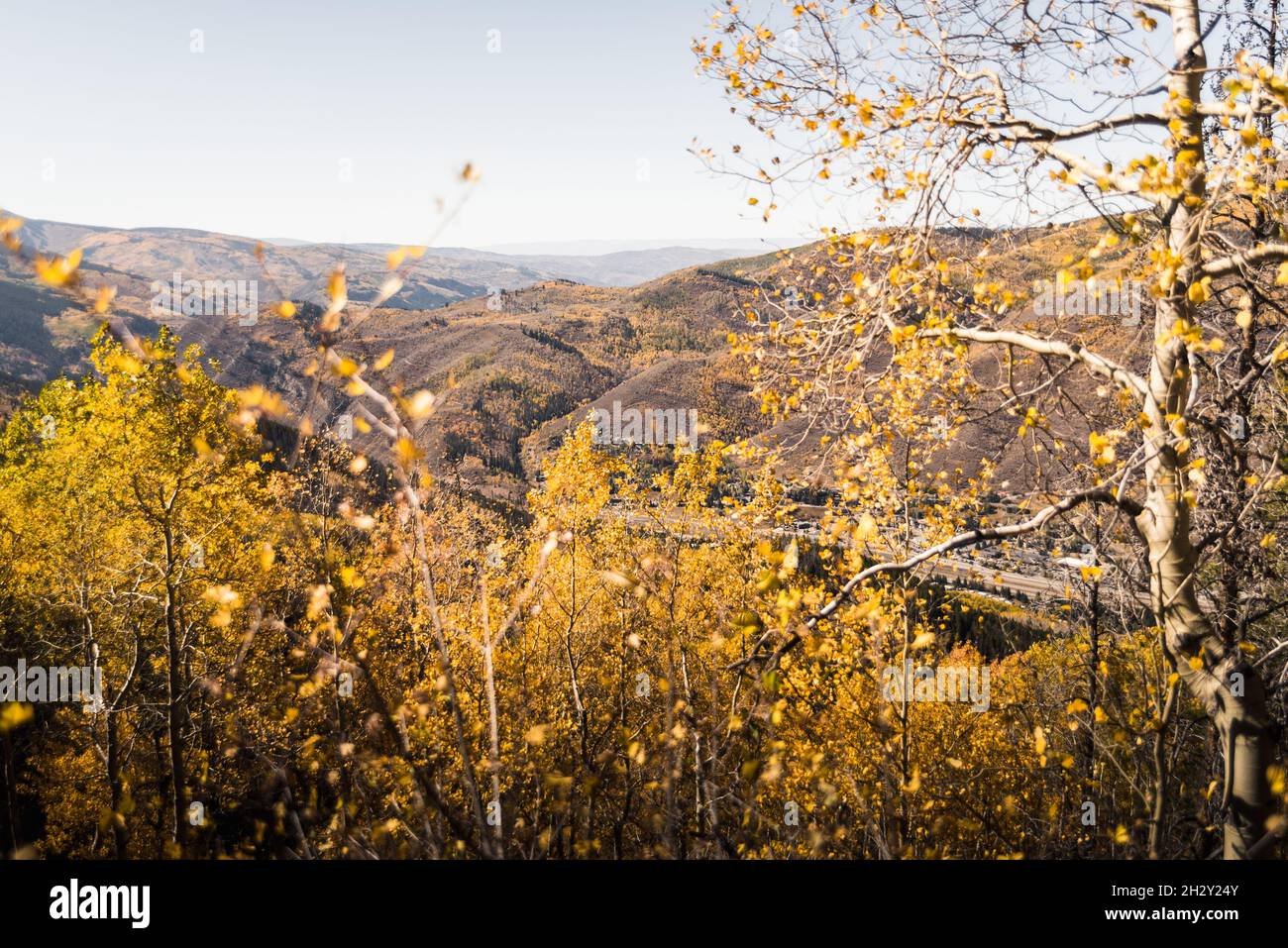 Fall foliage in Vail, Colorado Stock Photo - Alamy