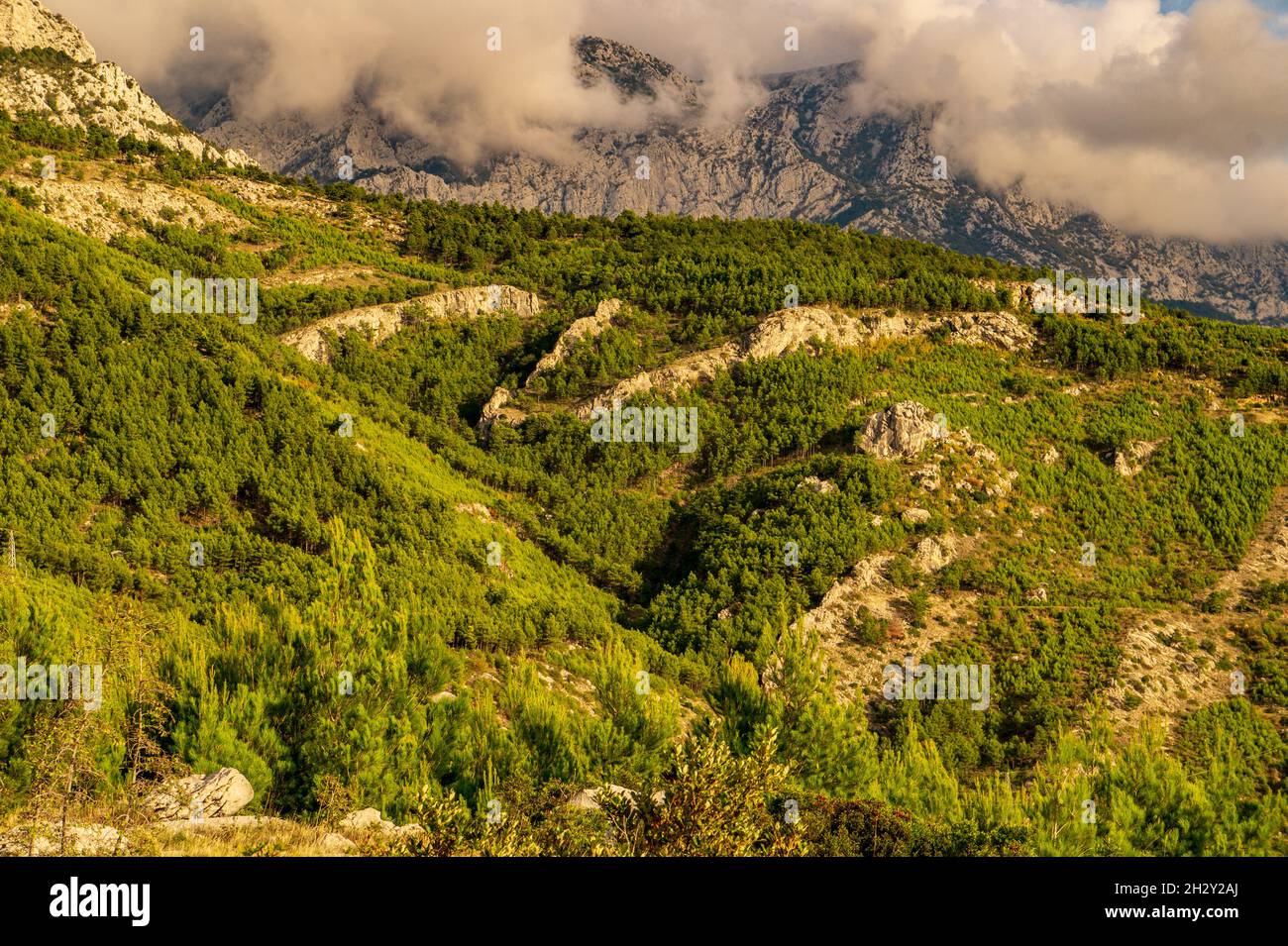 Mountain in greenery and some cliffs Stock Photo - Alamy