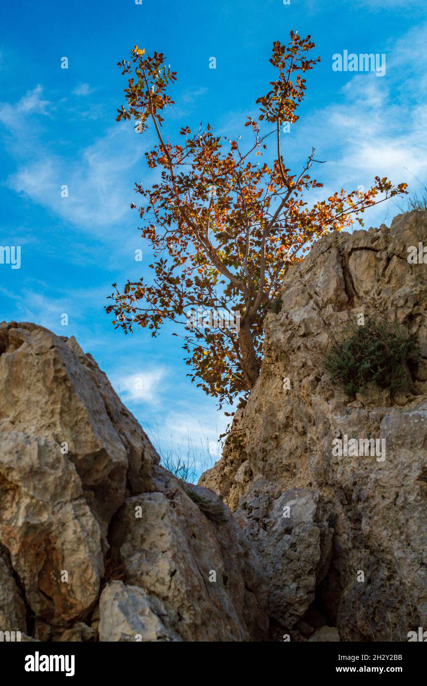 Cloud formation mountain scenery hi-res stock photography and images ...