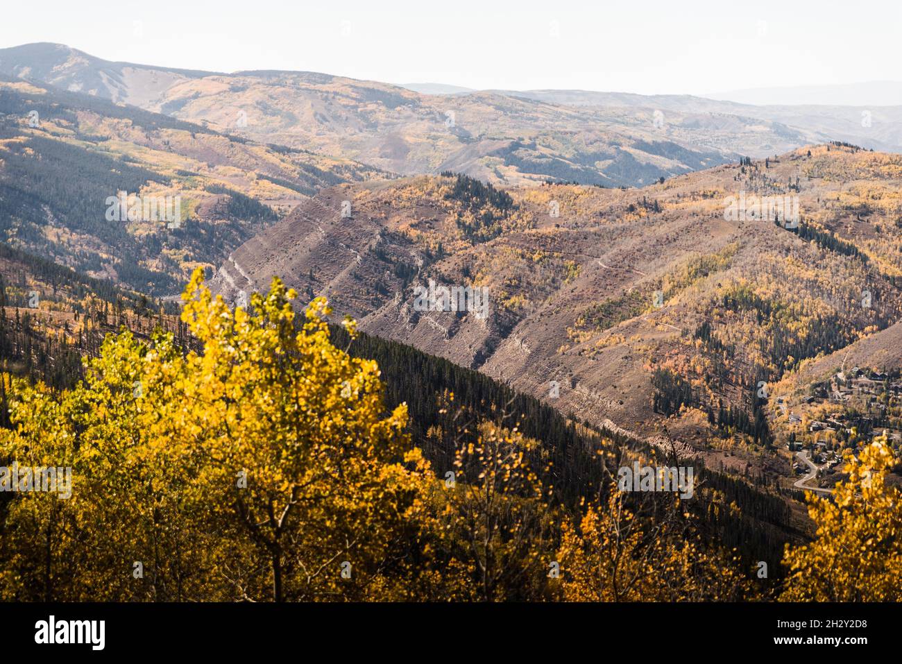 Fall foliage in Vail, Colorado Stock Photo - Alamy